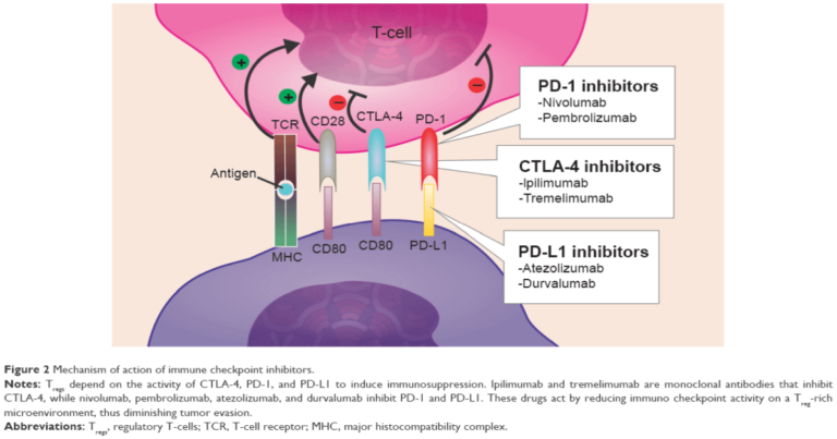 #ASCO2017: Durvalumab, date clinice în tratarea cancerului pulmonar ...