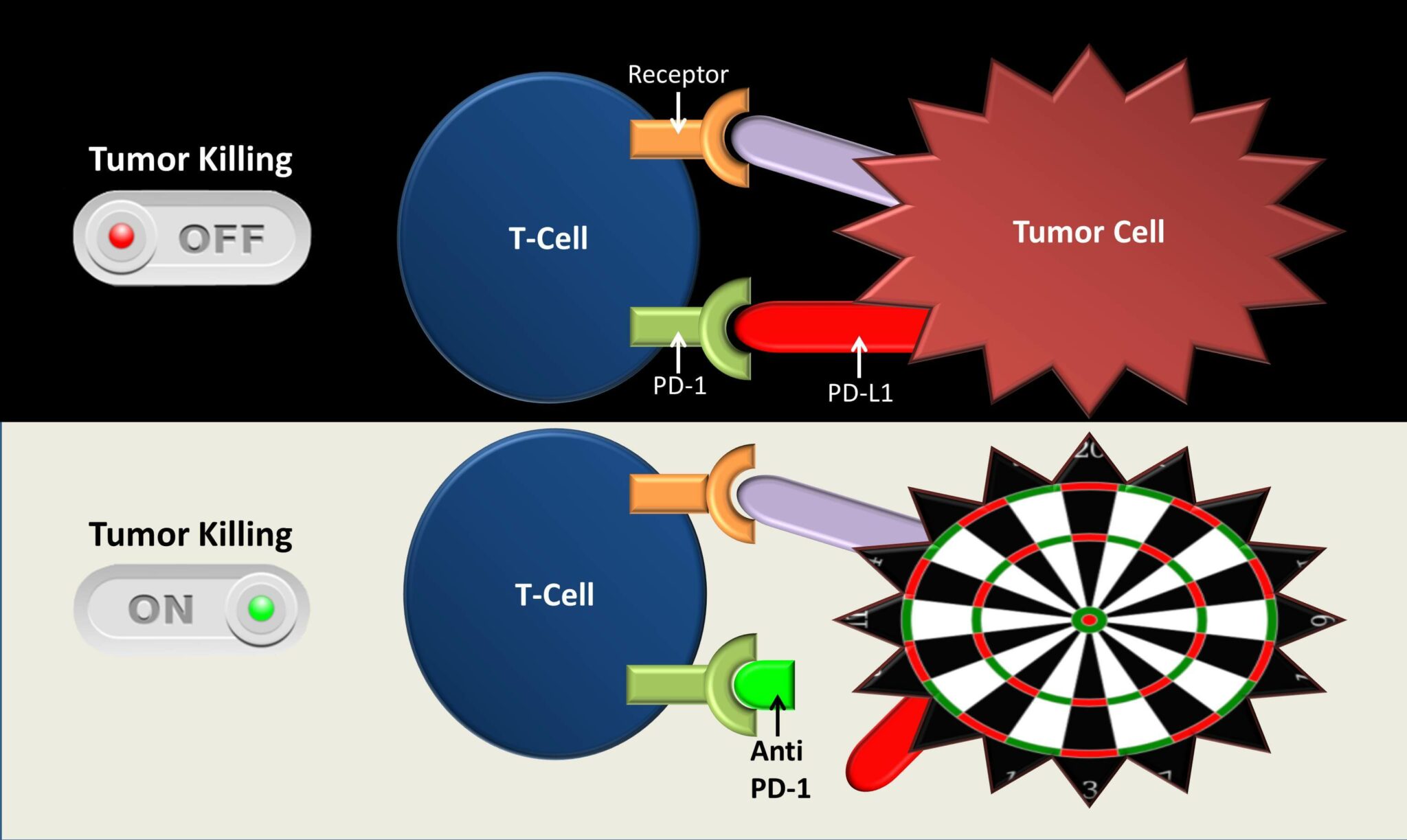 Pembrolizumab, mai aproape de pacienții români: ANM aprobă includerea ...