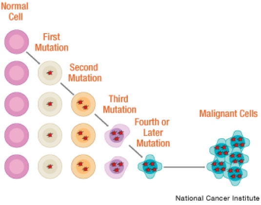 STUDIU. Câte mutații genetice sunt necesare pentru apariția cancerului?