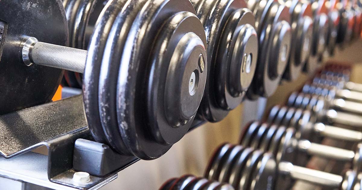 CE SPUN STUDIILE: despre mersul la sala de forță și rolul ei în ...