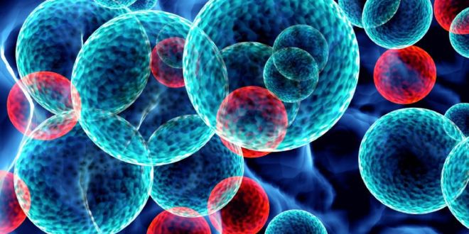 O nouă eră în tratamentul leucemiei limfocitare cronice: terapia ţintită