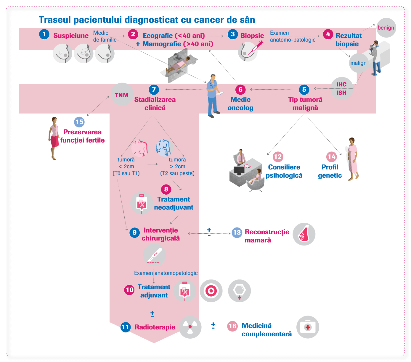 Lansarea primului navigator pentru pacientele cu cancer de sân din ...