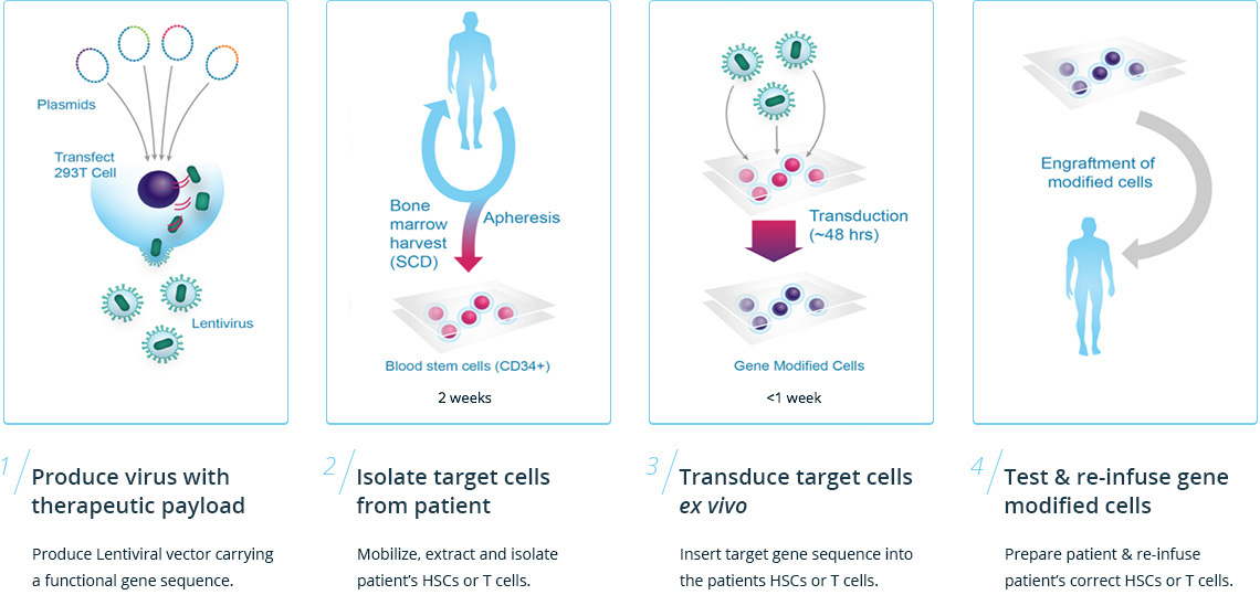 Prima terapie genică pentru pacienții cu beta-talasemie, aproape de ...