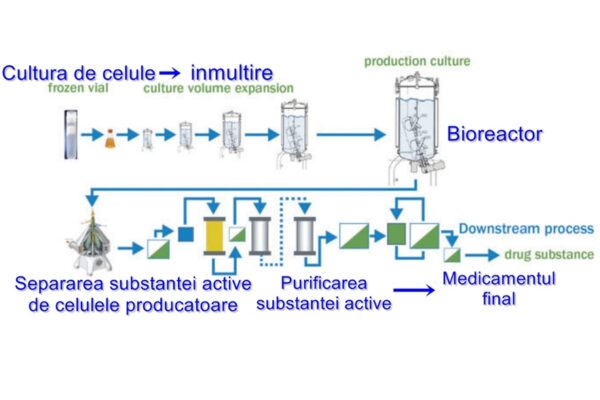 State of Innovation 2019: valoarea adăugată a medicamentelor biologice ...