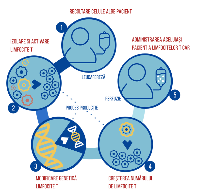 FDA aprobă prima terapie CAR-T pentru tratamentul limfomului cu celule ...