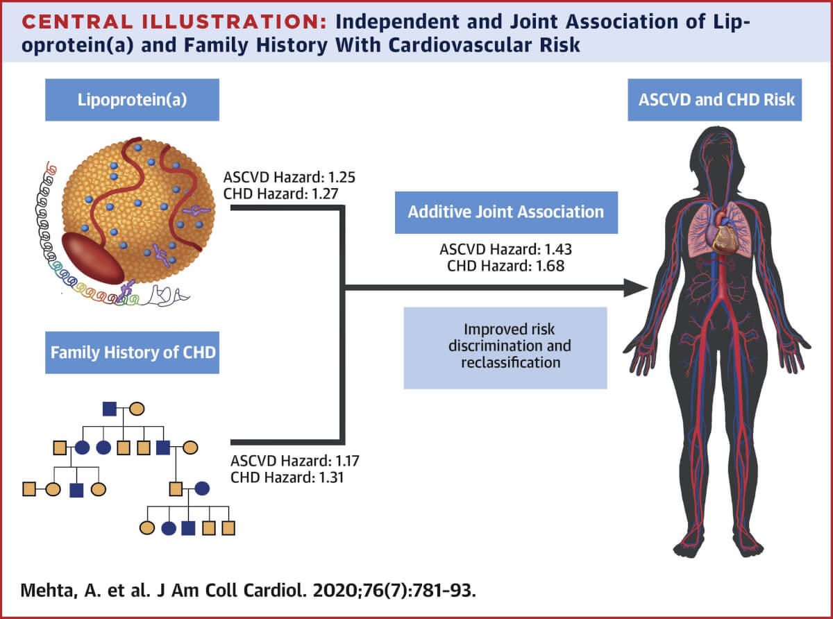 Cauzele genetice asociate cu riscul de boală cardiovasculară aterosclerotică: Care este rolul ...
