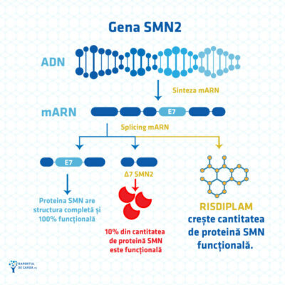 FDA aprobă risdiplam, primul tratament administrat oral pentru atrofia ...