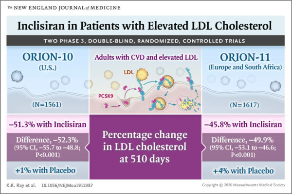 Inclisiran, prima terapie bazată pe tehnologia de interferență ARN ...
