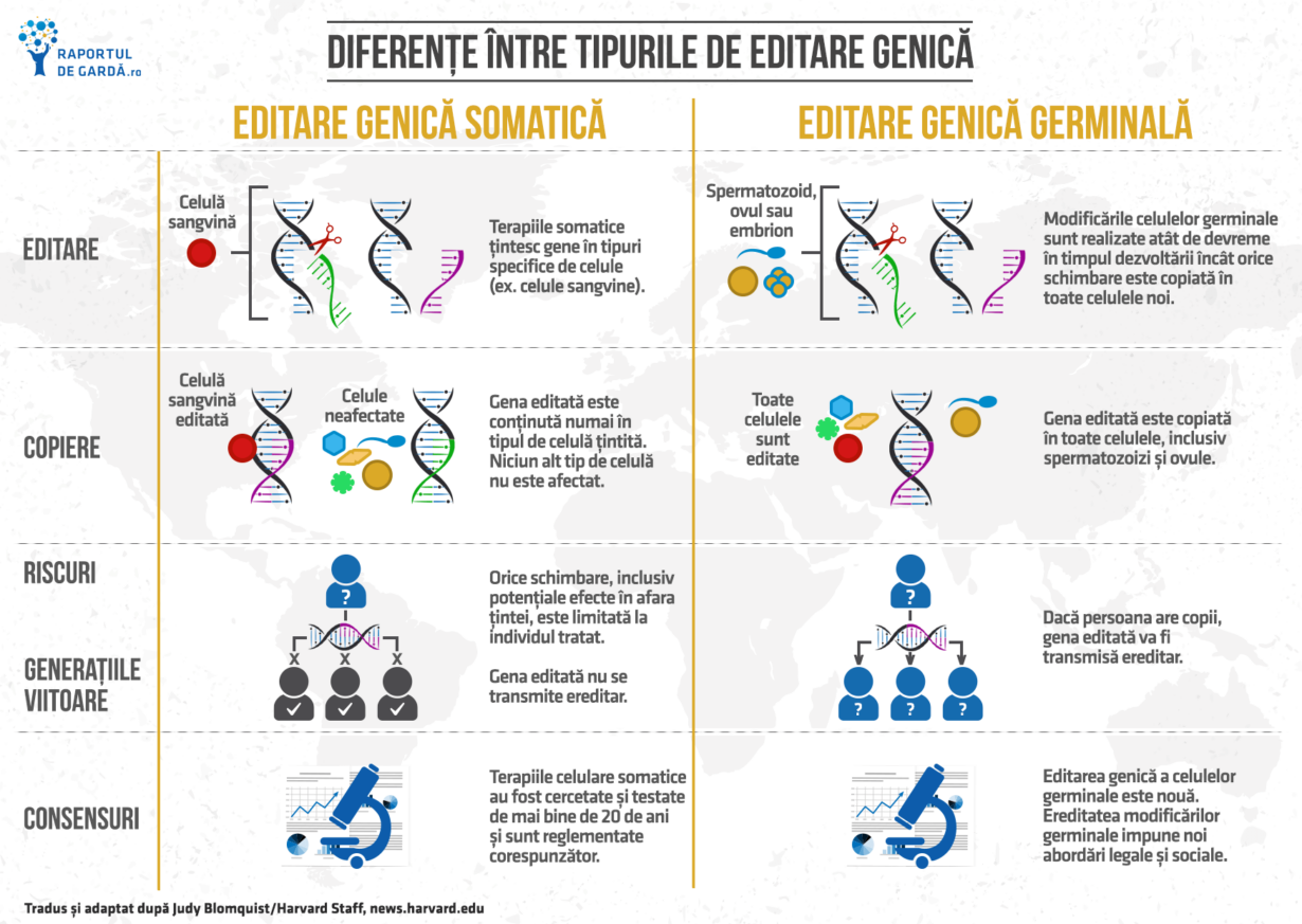 Organizația Mondială a Sănătății publică primele recomandări privind ...