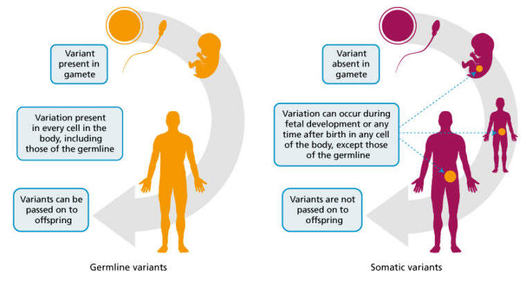 STUDIU. Toți pacienții cu cancer pulmonar ar trebui să fie testați ...