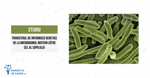 STUDIU. Un nou mecanism de transfer al genelor între microbiomul mamei ...